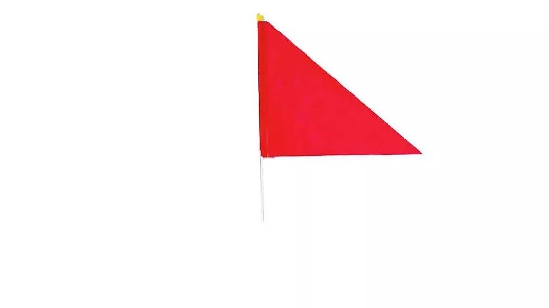 神补刀！亚马逊小红旗到处飘……-卖家之家